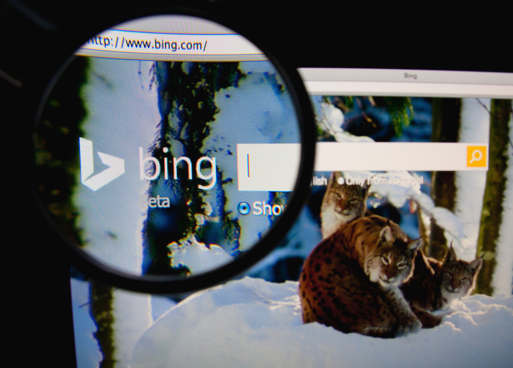 Is Bing cannibalizing your SEO clicks or boosting brand awareness ...